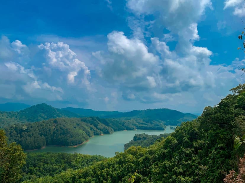 Guided The Great Borneo Rainforest Journey | Art of Bicycle Trips