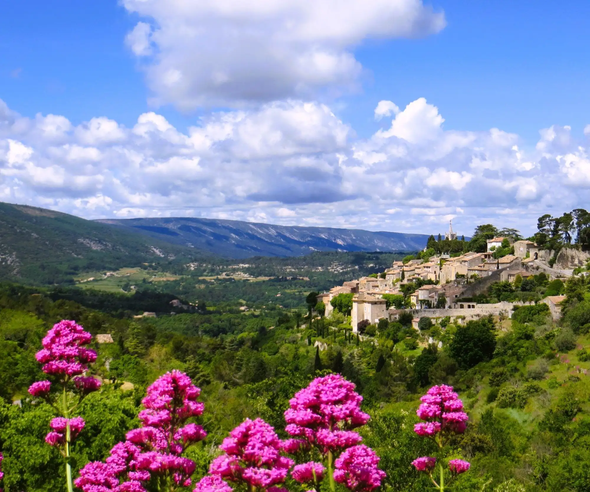 Guided Provence and Luberon Bike Tour | Art of Bicycle Trips